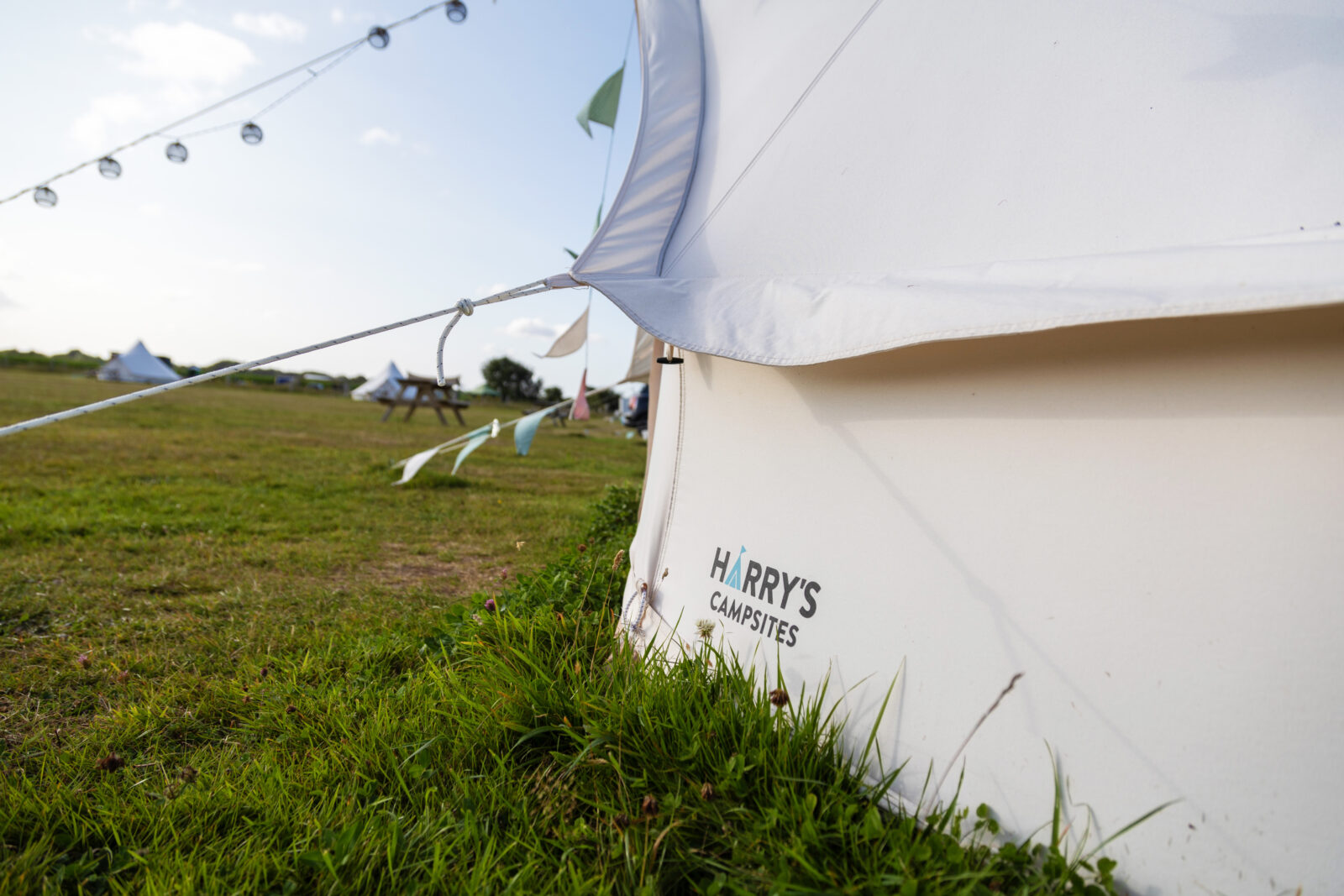 Book Your Camping Spot at Harry's Field In The New Forest