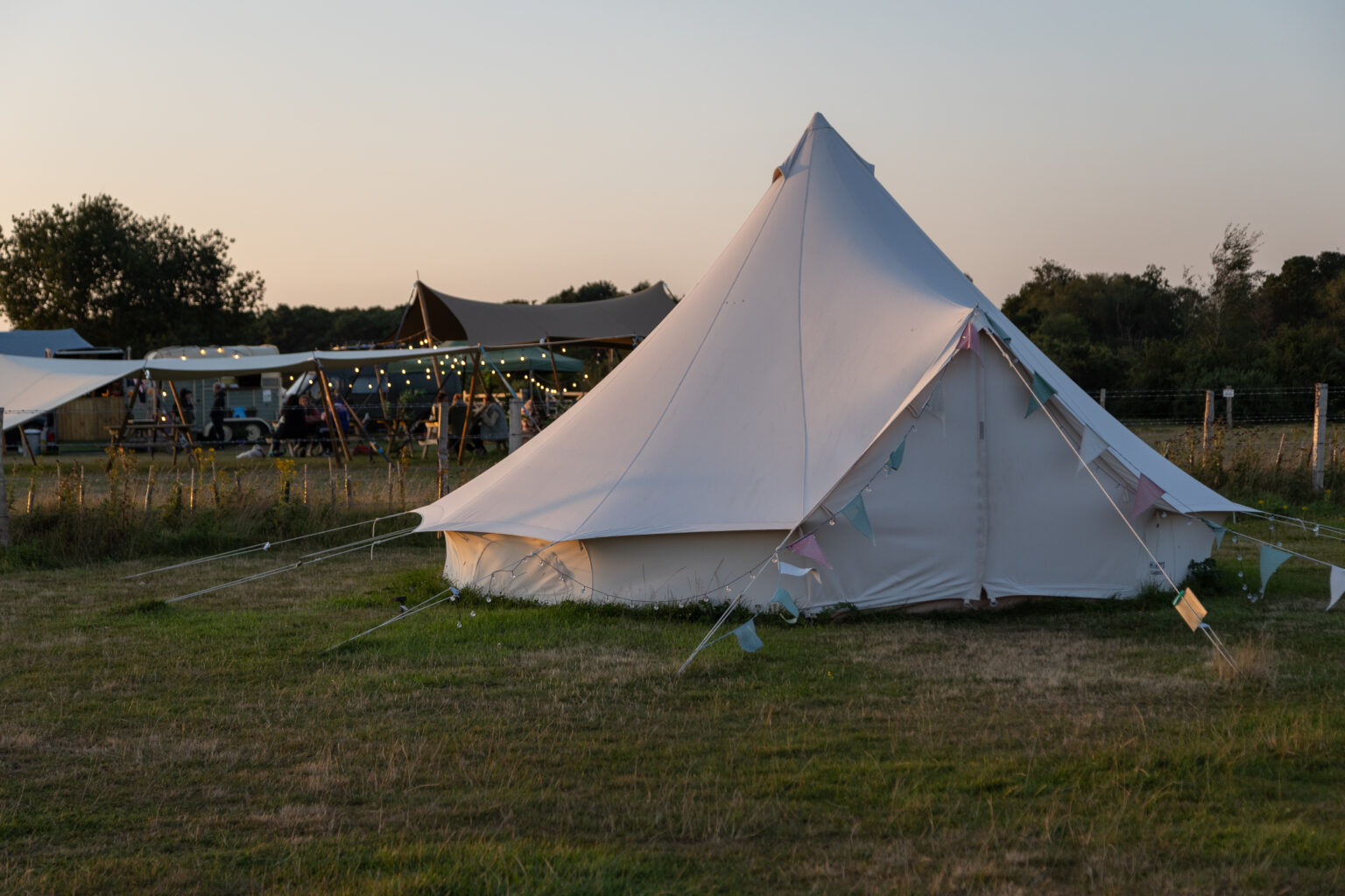 Camping In The Heart Of The New Forest | Harrys Campsites